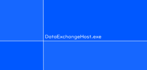 DataExchangeHost.exeとは、アプリ間でデータを交換するために必要な処理を行うデータ交換ホストです | 1 NOTES